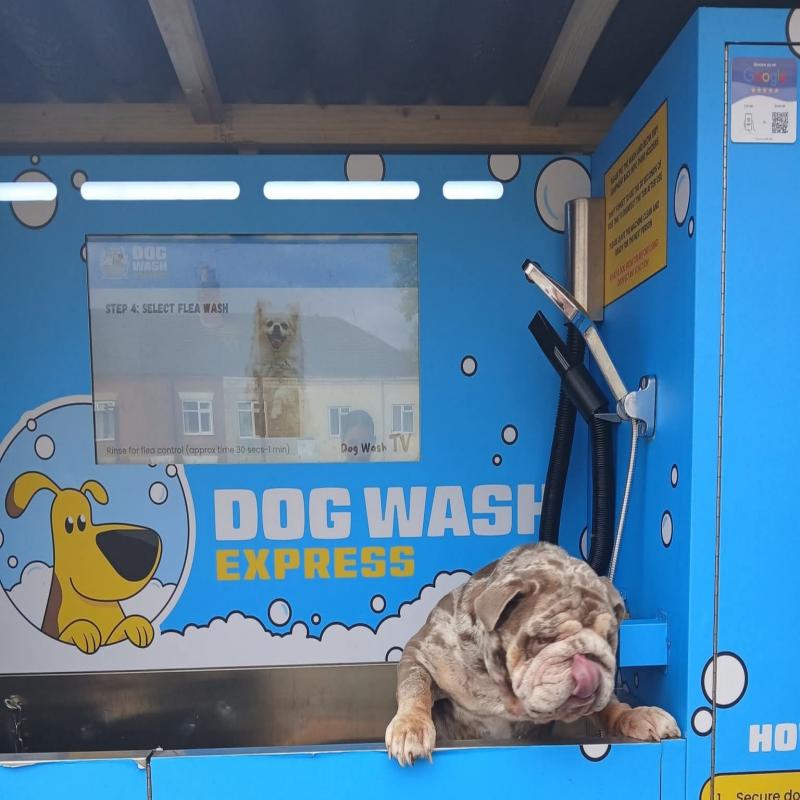 WEIMI 셀프 서비스 야외 개 세척 기계