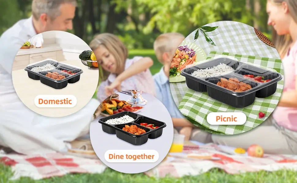 Do Plastic Take-Out Food Boxes Produce Microplastics? - yangrui