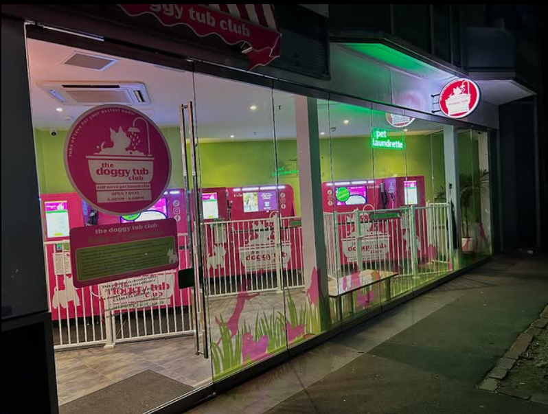 Start a Self-Service Dog Wash Business | Australian Case Example