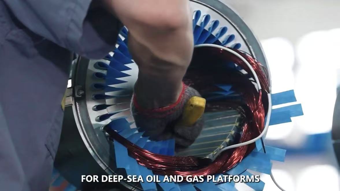 Practical Guide for Motor Maintenance - sanjing